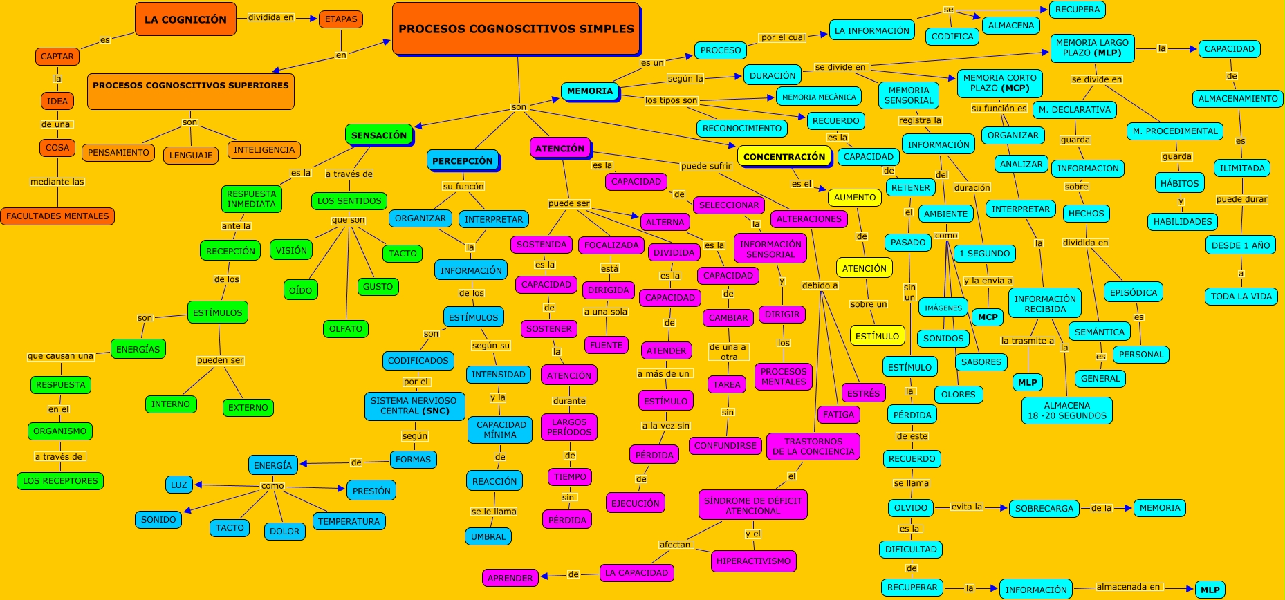 PROCESOS COGNOCITIVOS SIMPLES